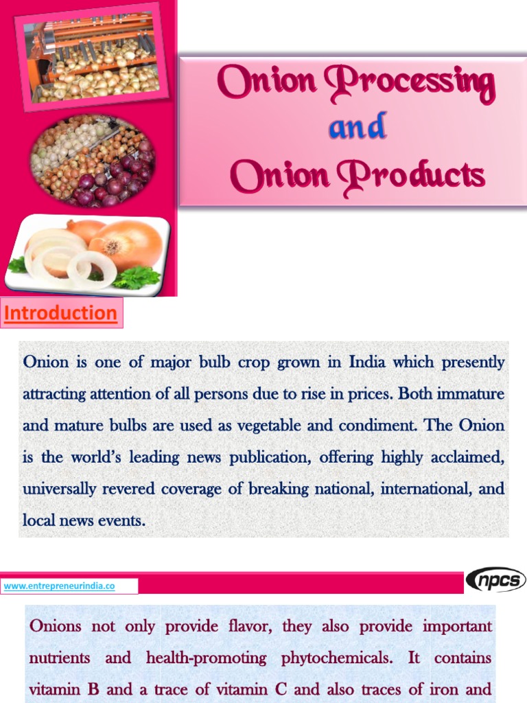 Onion Processing and Dehydration Insights | PDF | Onion | Foods