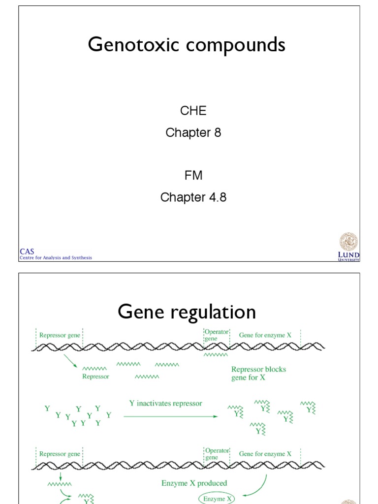 8 Genotox | PDF | Carcinogenesis | Oncogene