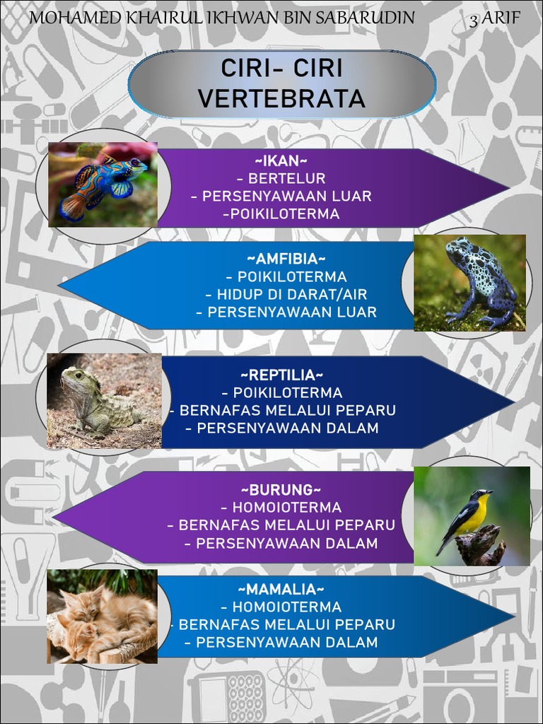 Ciri-Ciri Poikiloterma dan Homoioterma | PDF