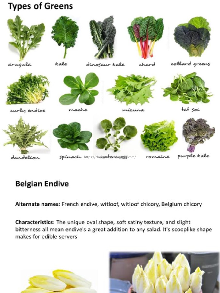Types of Green | PDF | Career & Growth | Cooking, Food & Wine