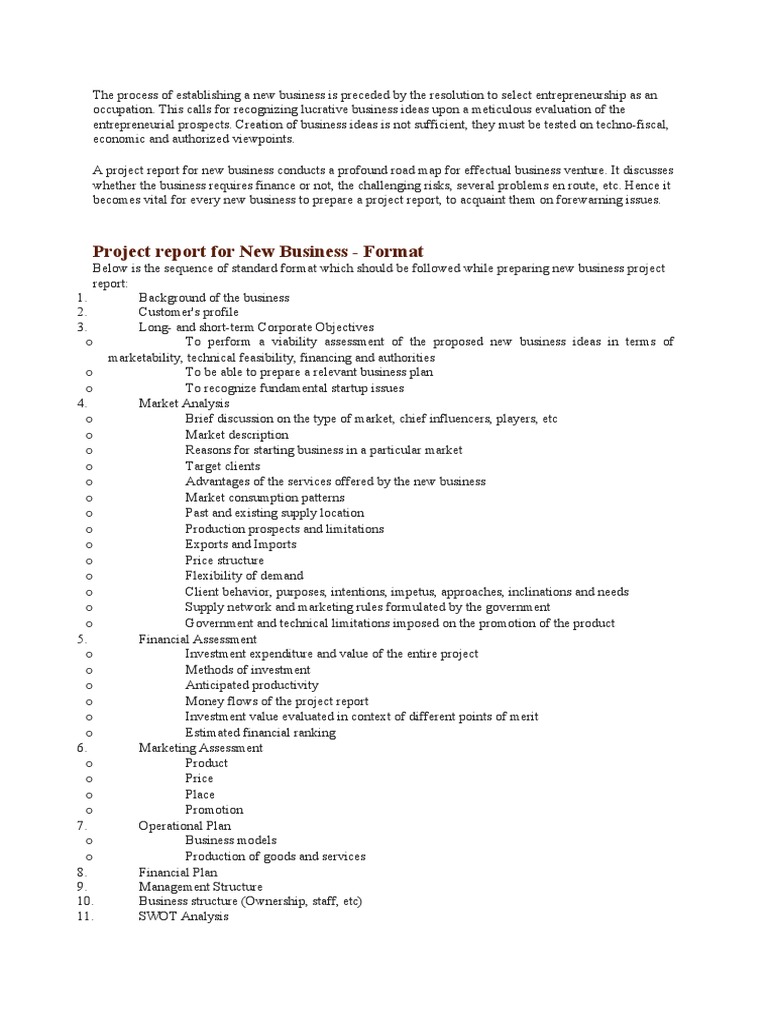 New Business Project Report Requirement | PDF | Investing ...