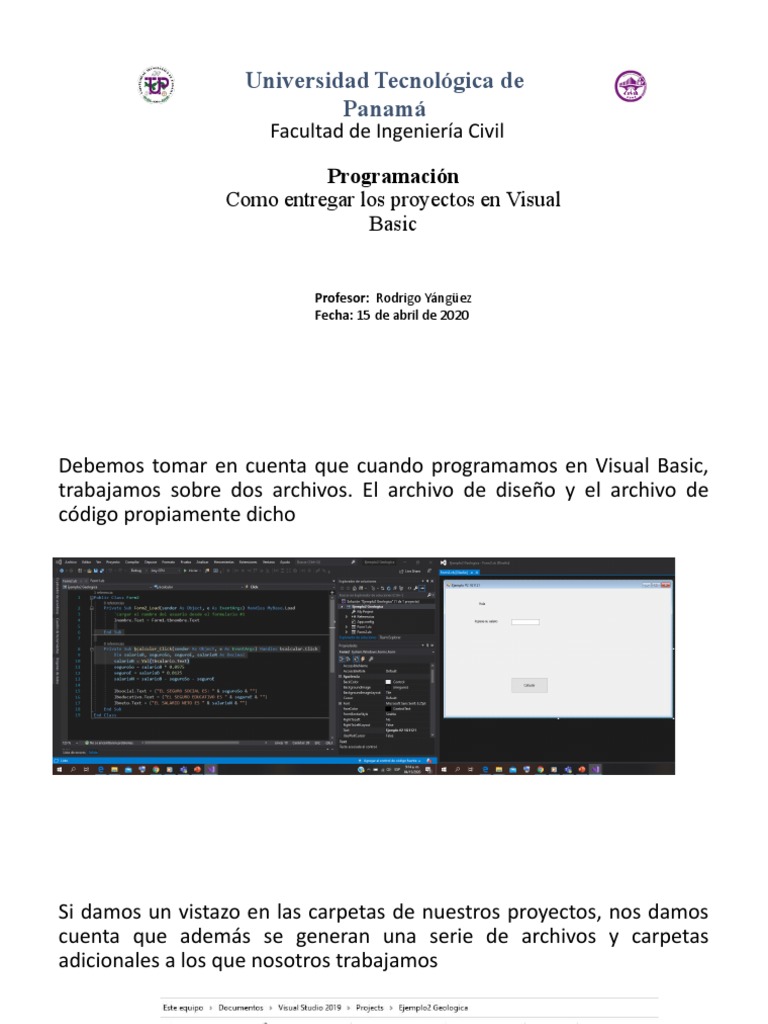 Como Entregar Los Proyectos en Visual Basic | PDF