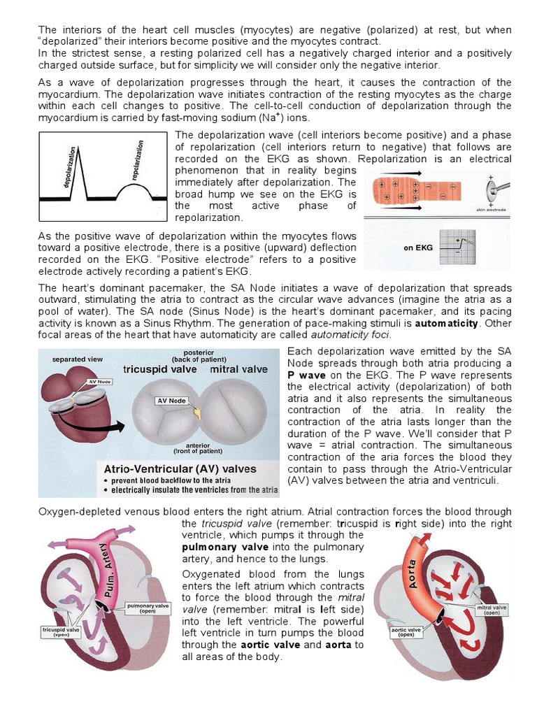 Dale Dubin - Rapid Interpretation of EKG PDF | PDF | Tampa