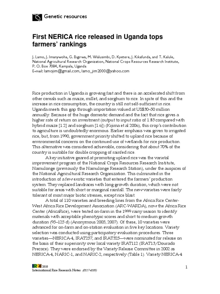 First NERICA Rice Released in Uganda Tops Farmers' Rankings | PDF ...