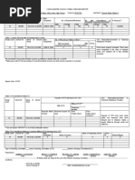 SFCR1 Template | PDF
