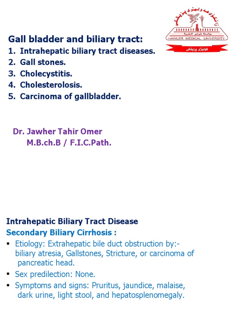 Gall Bladder and Biliary Tract | PDF | Bile | Gallbladder