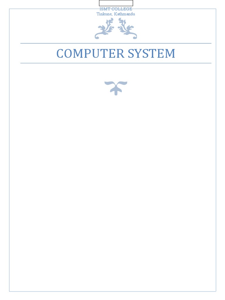 Computer System | PDF | Random Access Memory | Printer (Computing)