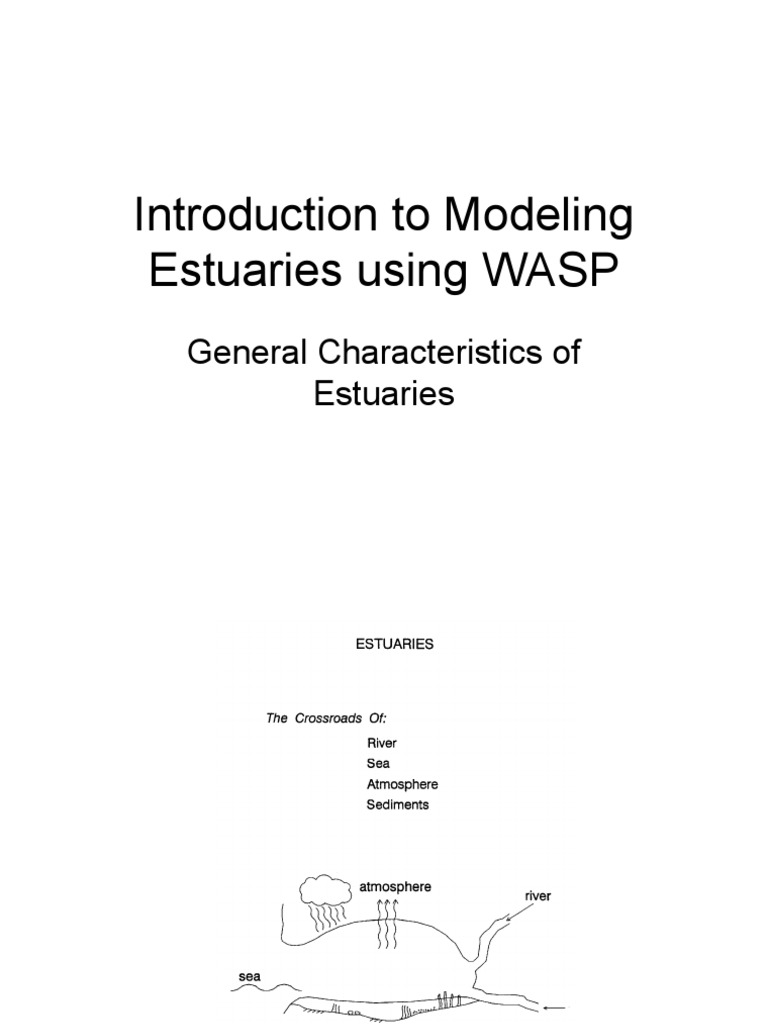 Estuarine Modeling with WASP Techniques | PDF | Tide | Hydrography