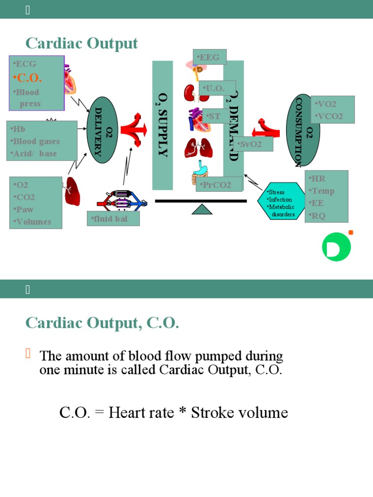 Cardiac Output: - Ecg - Blood - VO2 - VCO2 - Eeg - U.O | PDF ...