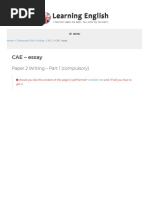 CAE Report Writing | PDF