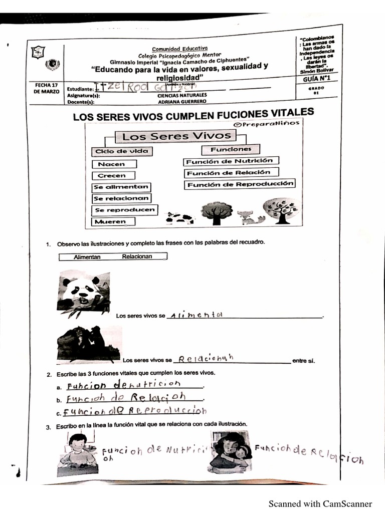 Ciencias Itzel Roa | PDF