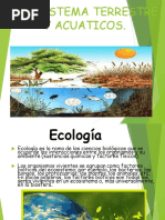 Triptico Ecosistema Terrestre | PDF | Ecosistema | Suelo
