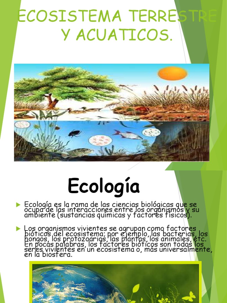 Ecosistemas | PDF | Ecosistema | Organismos