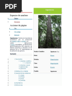 Características y usos del matapalo | PDF | Arboles | Hoja