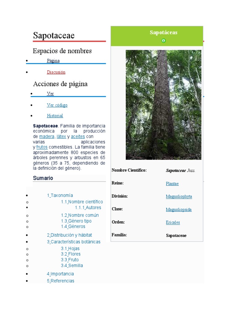 Sapotaceae | PDF | Plantas | Botánica
