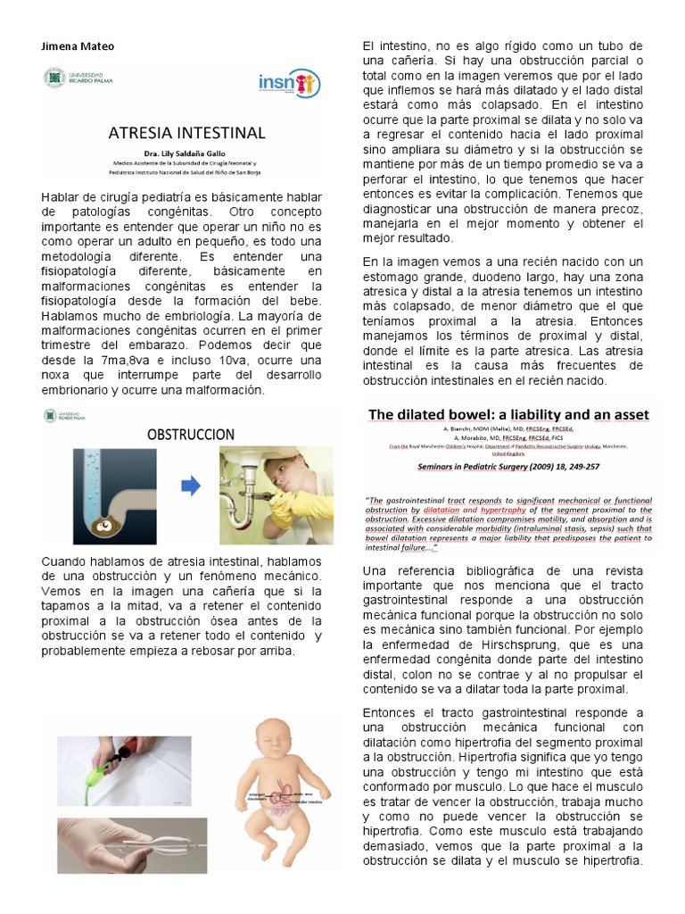 Atresia y Estenosis Intestinales - Dra Lily Saldaña | PDF | Tracto ...