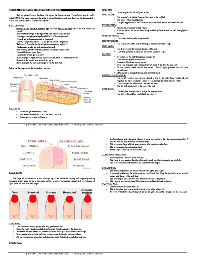 Nail Care Lecture | PDF | Nail (Anatomy) | Foot