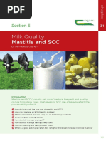 8-post-pci-sheath-removal-protocolpdf | PDF | Percutaneous Coronary ...