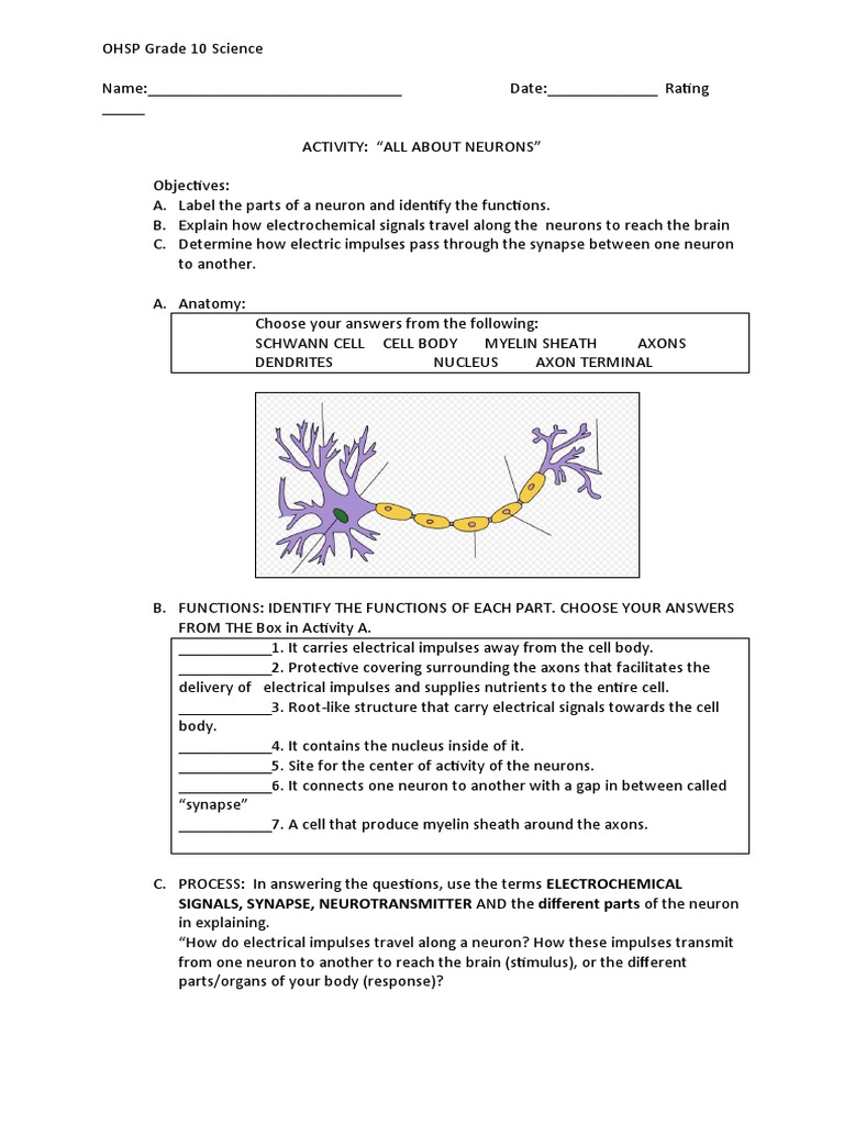 SIGNALS, SYNAPSE, NEUROTRANSMITTER AND The Different Parts of The ...