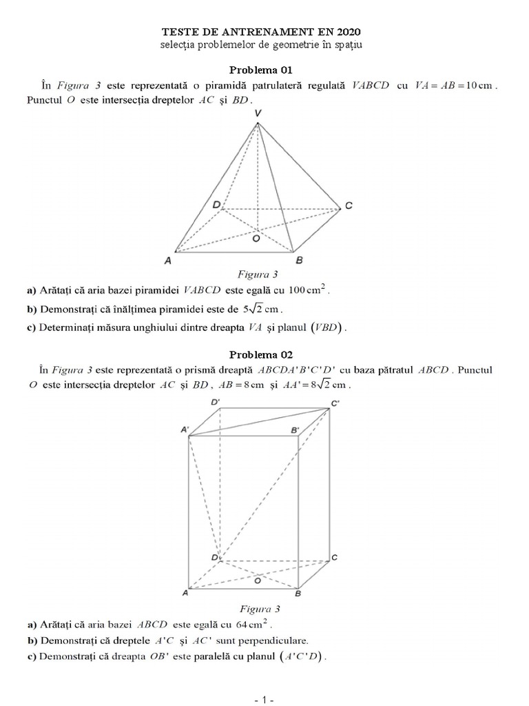40 Teste de Antrenament Tip EN 2020 - Enunturi III-2 PDF | PDF