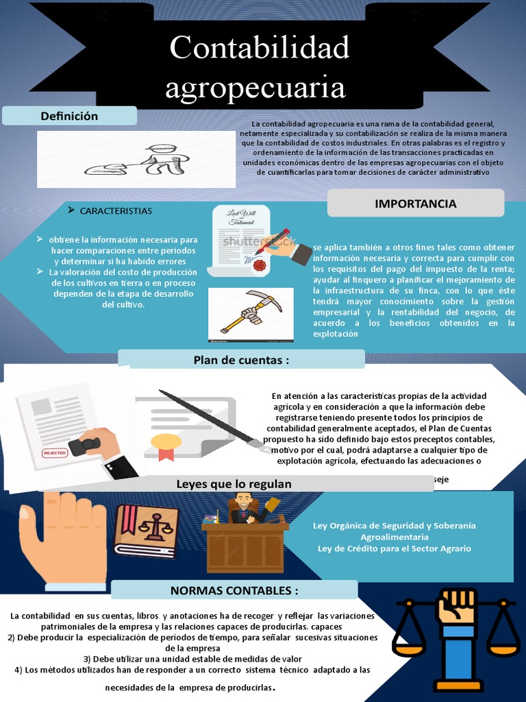 Infografias DE | PDF | Contabilidad | Business