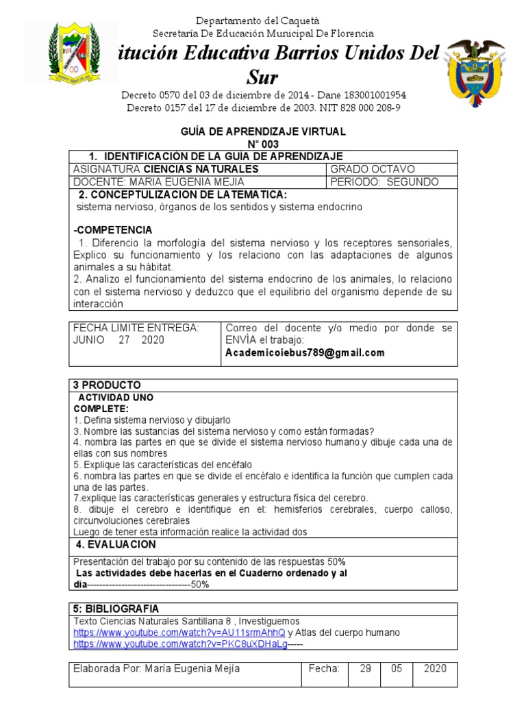 Ciencias Naturales Segundo Periodo 2020 | PDF | Neurona | Sistema nervioso