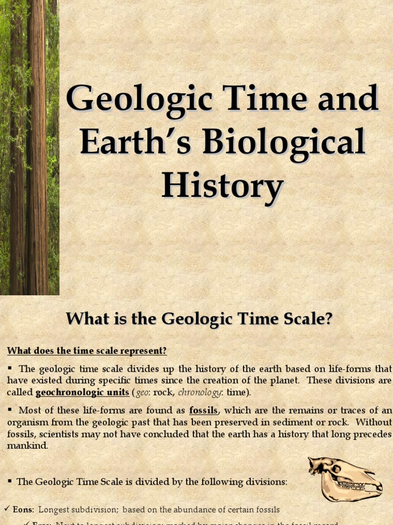 Geologic Time and Earth's Biological History | PDF | Geologic Time ...