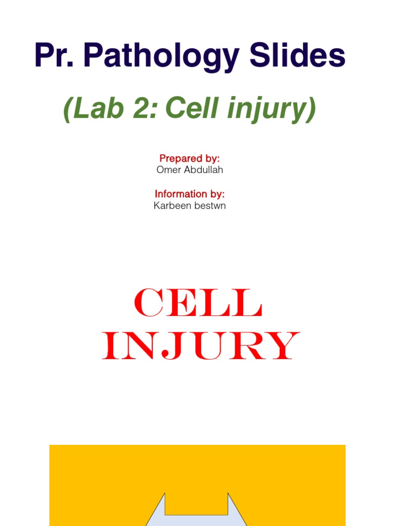 Patho Lab 2 | PDF | Necrosis | Cell Biology