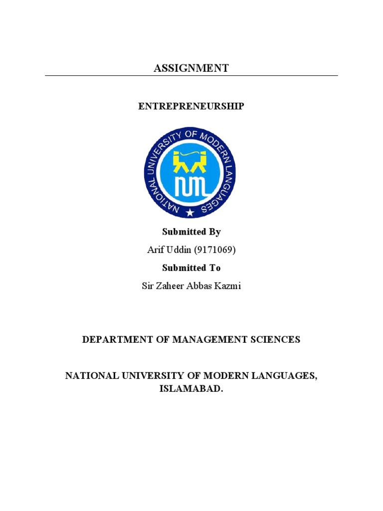 Entrepreneur's Assignment | PDF