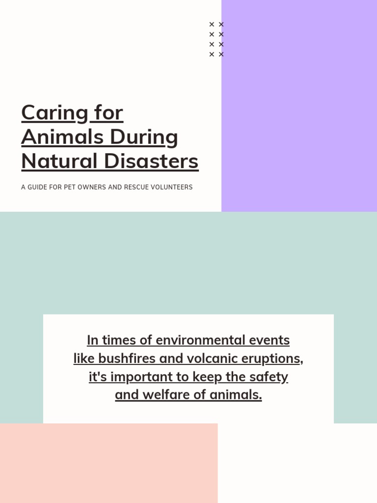 A Guide to Caring for Animals During Natural Disasters: Preparing Food ...