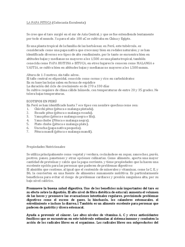 Beneficios de la Papa Pituca en Perú | PDF | Calcio | Antioxidante