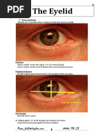 Eyelid Glands: Types and Clinical Issues | PDF | Diseases And Disorders | Medical Specialties