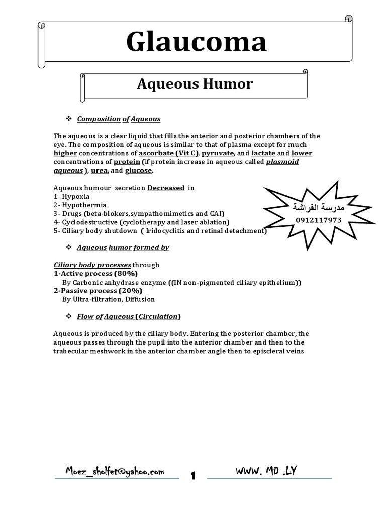 Glaucoma: Aqueous Humor | PDF | Glaucoma | Cornea