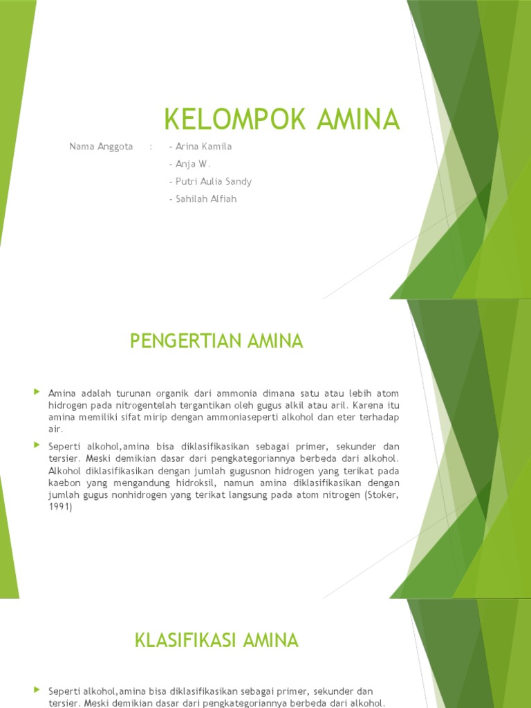Klasifikasi dan Sifat Amina Organik | PDF