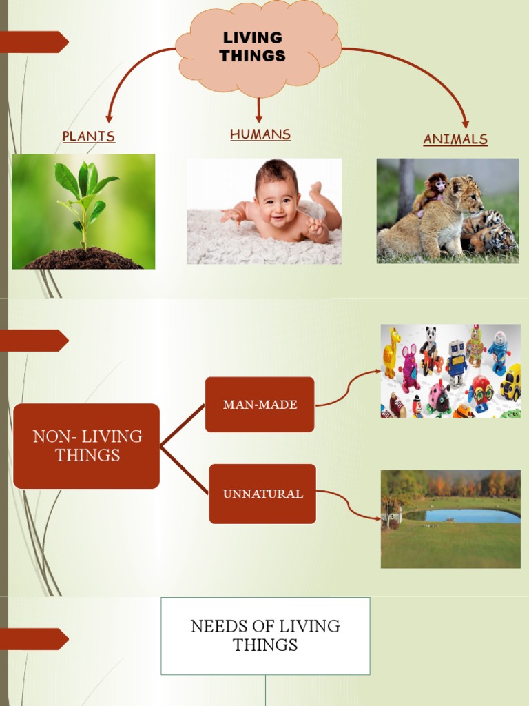 Living Things: Plants Animals Humans | PDF