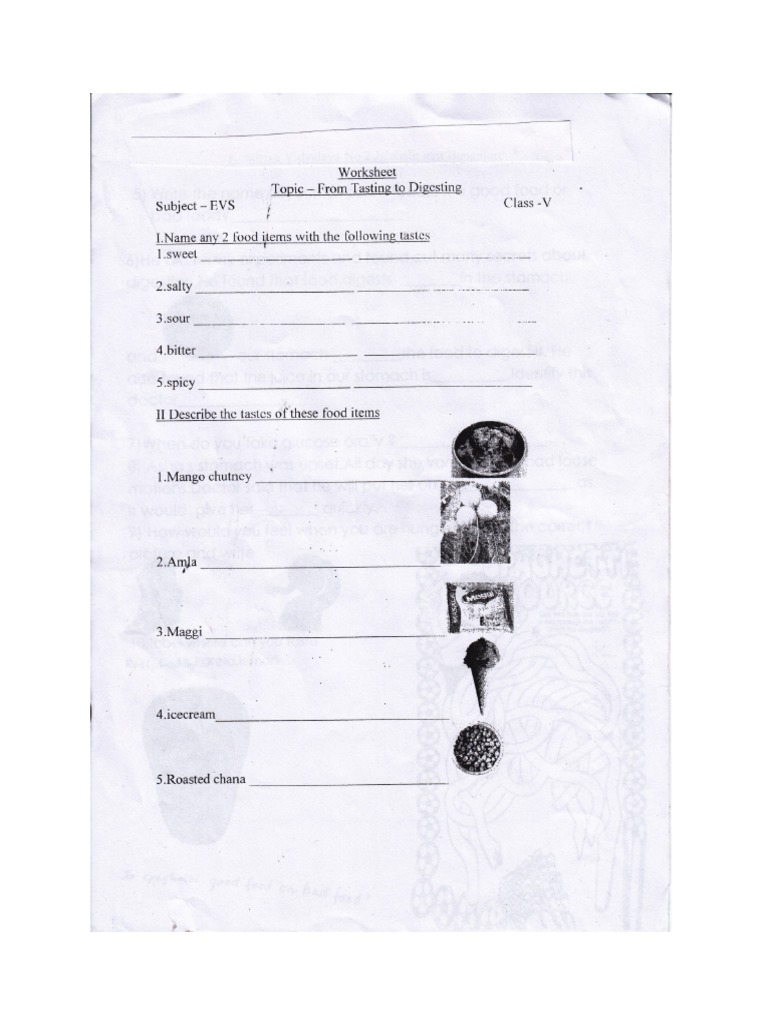 CBSE Class 5 EVS Revision Worksheet - From Tasting To Digesting | PDF