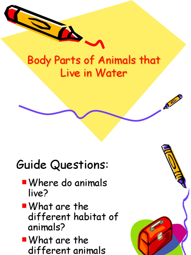 Body Parts of Aquatic Animals | PDF