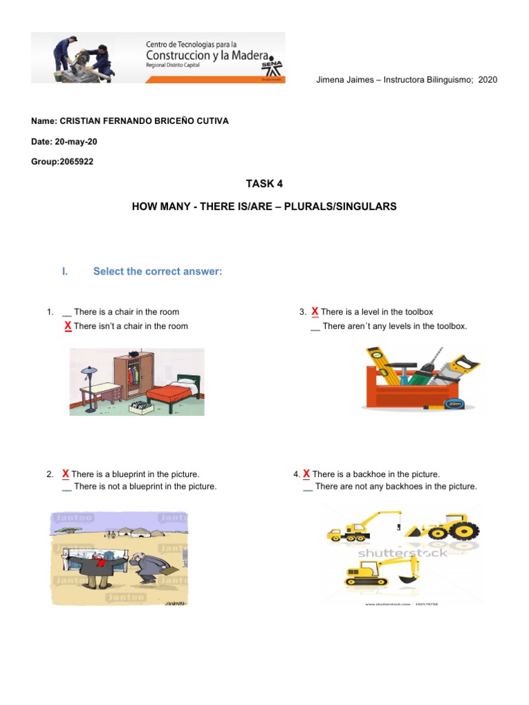 Task 4 How Many - There Is/Are - Plurals/Singulars: I. Select The ...