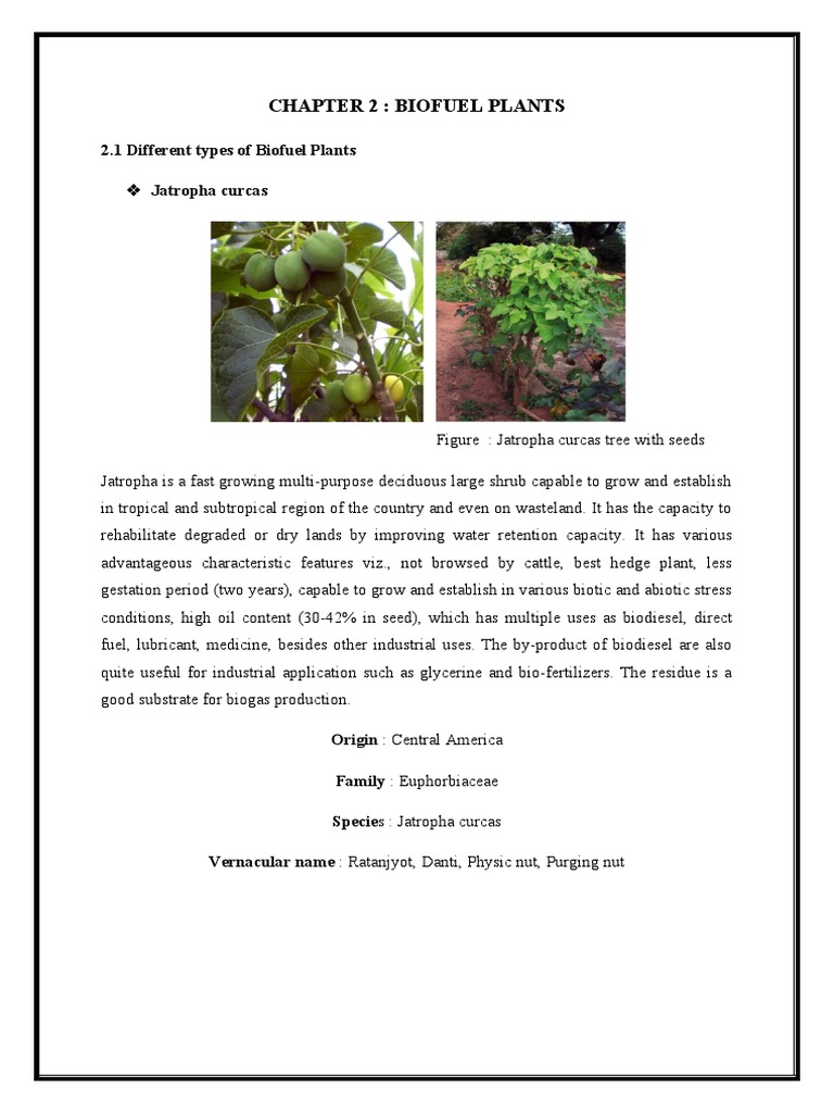 Chap 2 | PDF | Olive | Trees