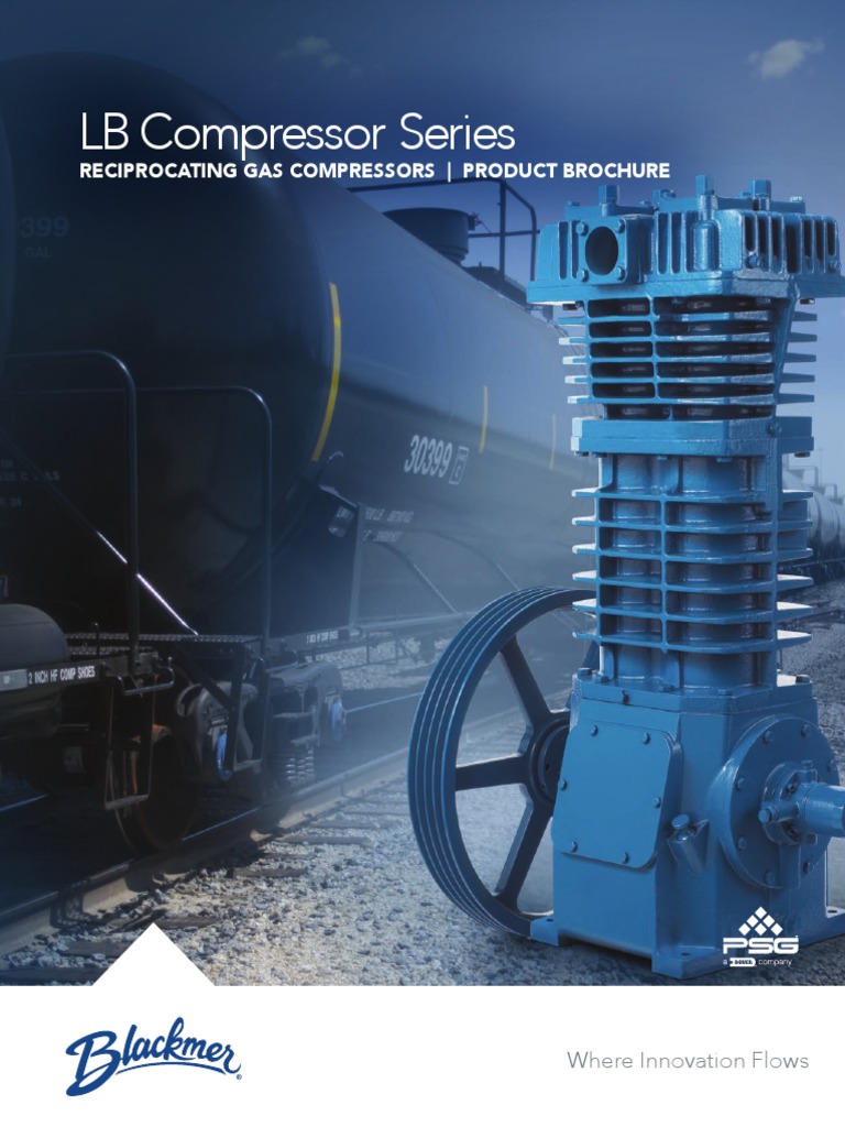 Blackmer 2020 Compressor Brochure | PDF | Piston | Bearing (Mechanical)