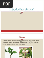 Types and Characteristics of Plant Stems | PDF | Plant Stem | Plants