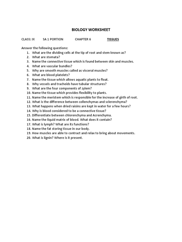 CBSE Class 9 Biology Worksheet - Tissues | PDF