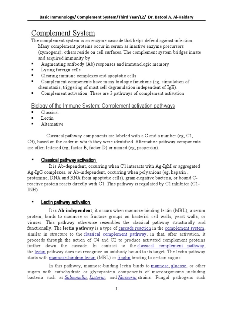 An In-Depth Look at the Complement System: Activation Pathways ...
