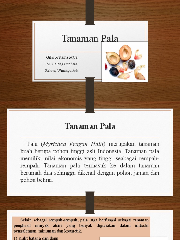 MANFAAT DAN BUDIDAYA TANAMAN PALA | PDF