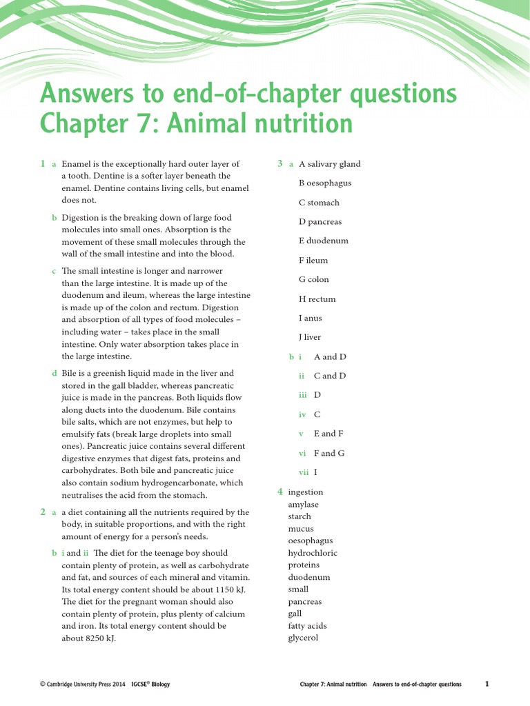 Answers To End-Of-Chapter Questions Chapter 7: Animal Nutrition | PDF ...
