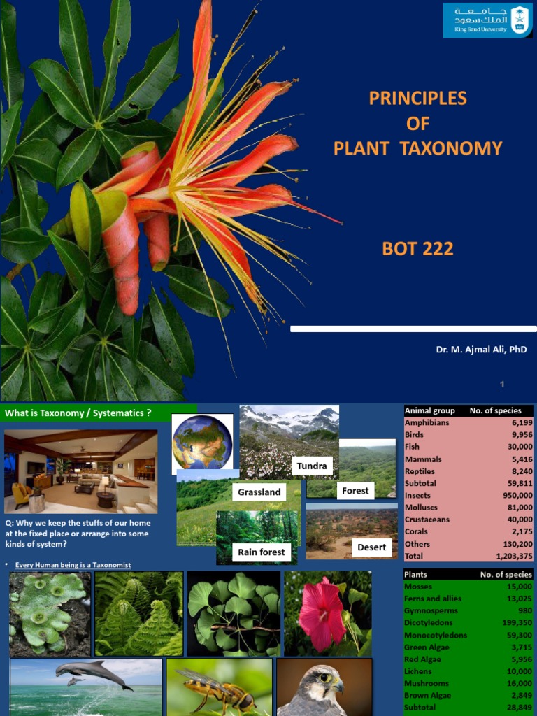 Plant Taxonomy Principles Guide | PDF | Leaf | Taxonomy (Biology)