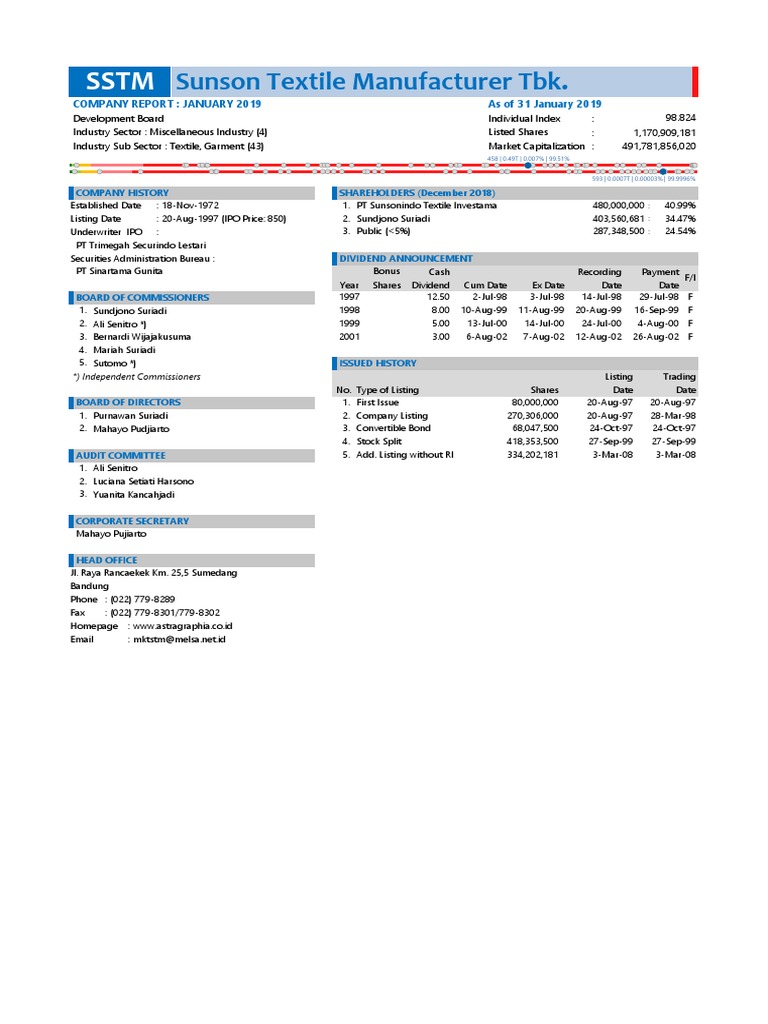 Sunson Textile 2019 Company Report | PDF | Revenue | Expense