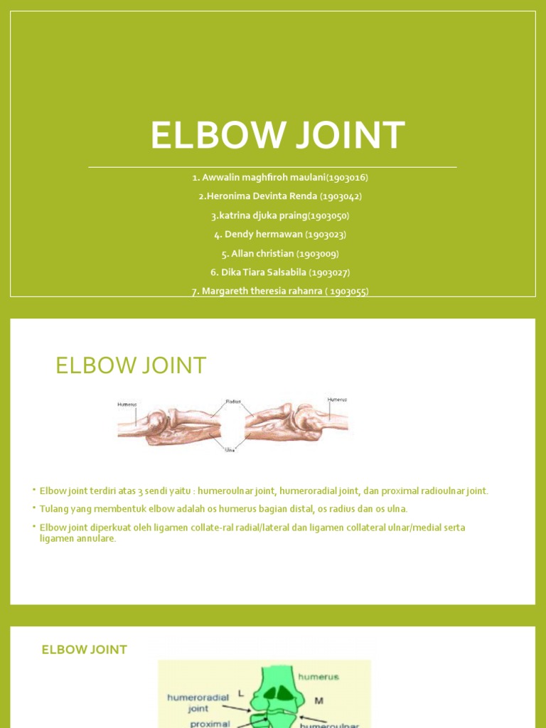 Elbow Joint Anatomi dan Kinematika | PDF