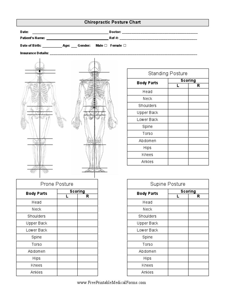 Chiropractic Posture Assessment Chart | PDF | Human Anatomy