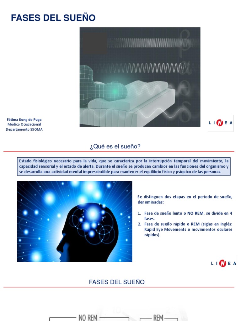 Fases del Sueño: REM y NO REM | PDF | Movimiento rápido del ojo Sueño ...